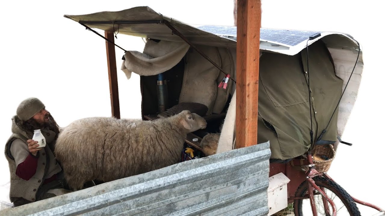 The Modern Shepherd’s Christmas Day In The Life!? - YouTube