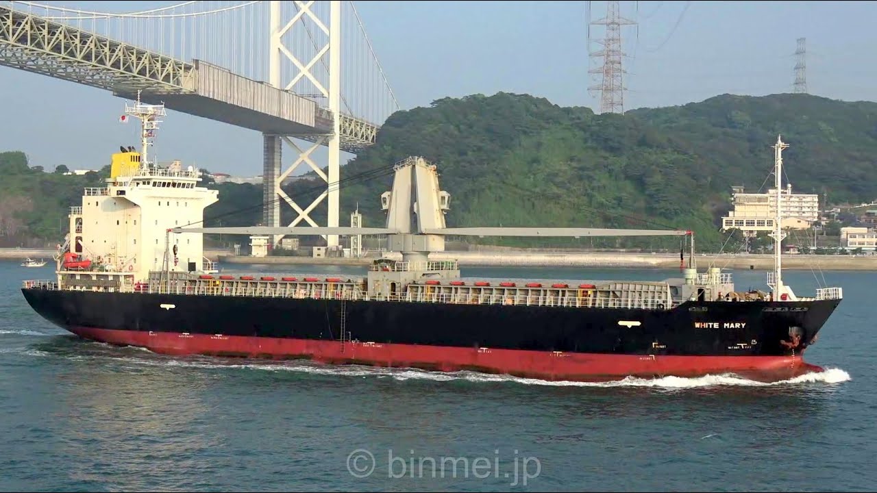 WHITE MARY - Temm Maritime general cargo ship - YouTube
