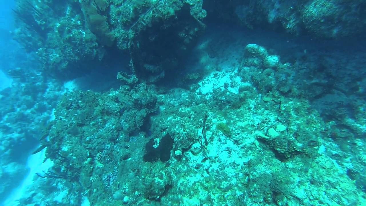 Diving Trip to Mona Island Puerto Rico - YouTube