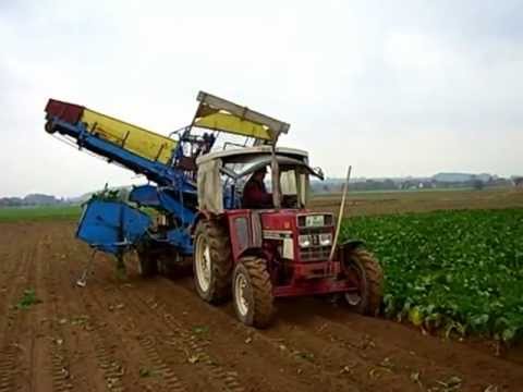 IHC 533 Allrad mit Bleinroth Rustica RKS 45 am Rübenroden 2010 - YouTube