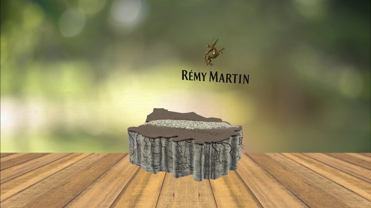 Remy Martin AR Map - YouTube