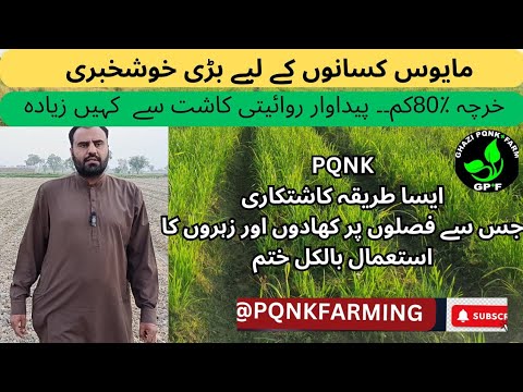 Regenerative agriculture in Pakistan | Mian Irfan PQNK farm | Modern ...