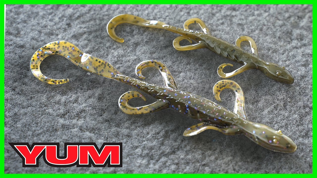 LIZARD de YUM - YouTube