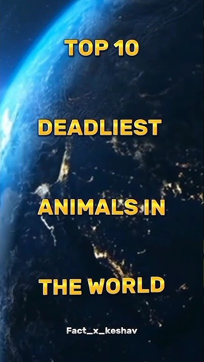 Top 10 Deadliest animal's in the world 🌎 #nocopyright #short #trending ...