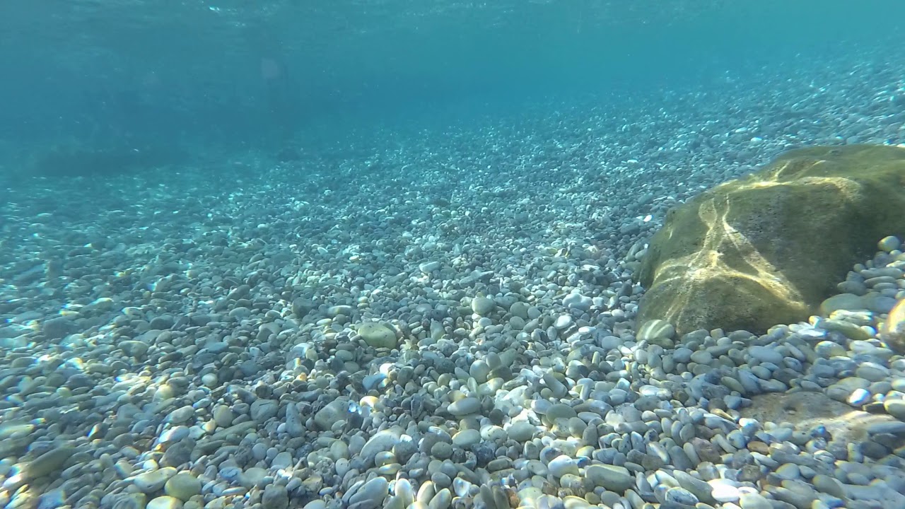 Amazing fish in shallow cove, Kefalonia August 2018 - YouTube