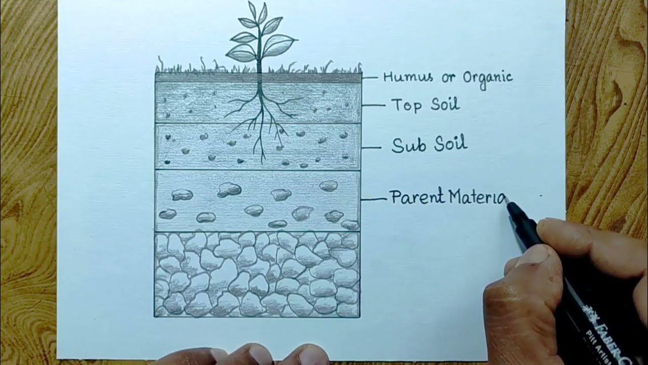 How to draw Layers of soil diagram easily/Layers of soil diagram drawing - YouTube