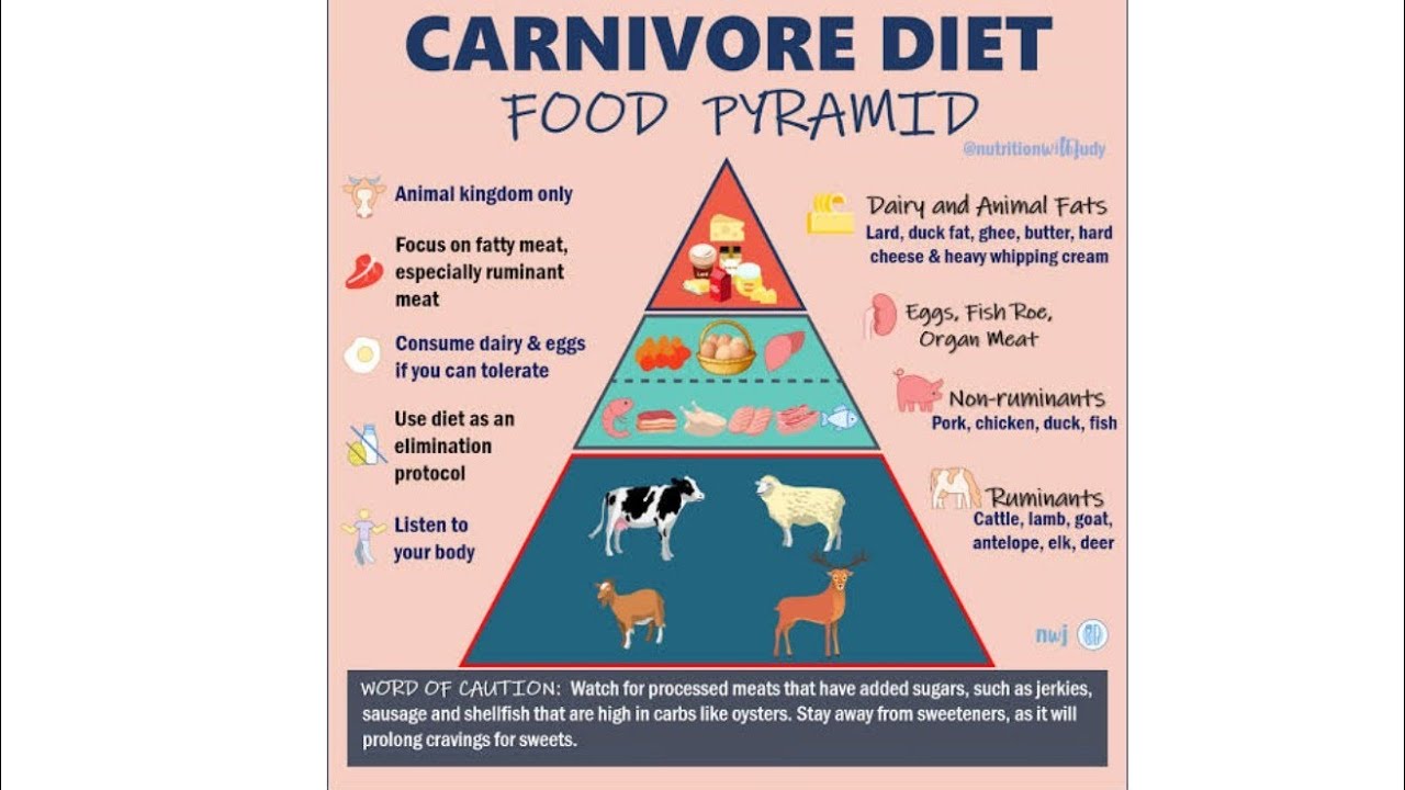Digestive System. Carnivore Diet as Remedy. - YouTube