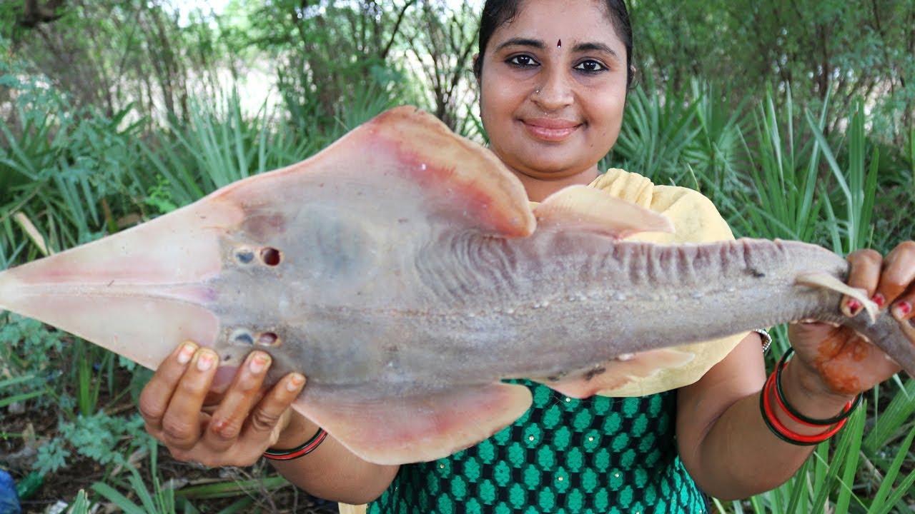 VILLAGE FOODS- Giant GUITAR FISH Curry Recipe- South Indian Style ...