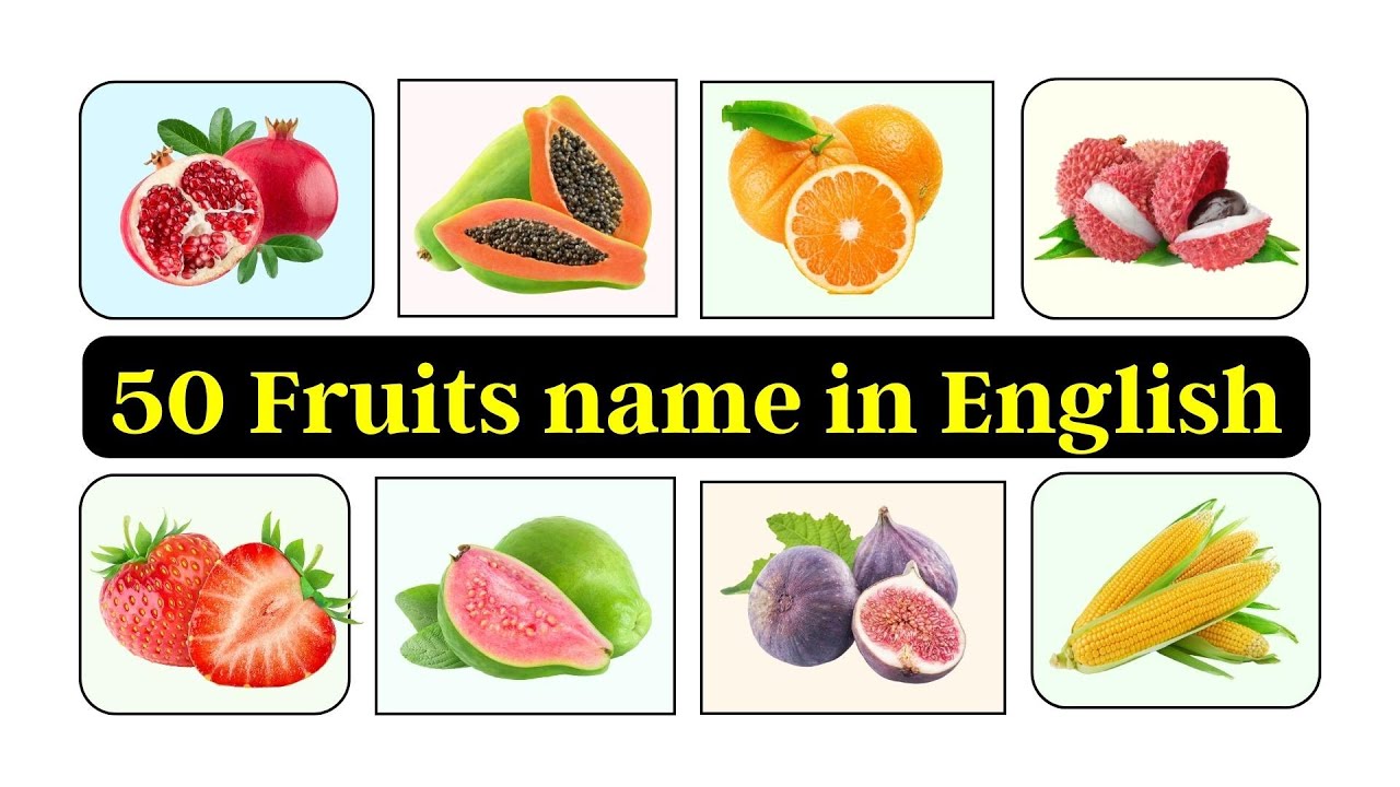 Learn 50+ Fruits Names, Pictures and Vocabulary | Apricot fruit ...
