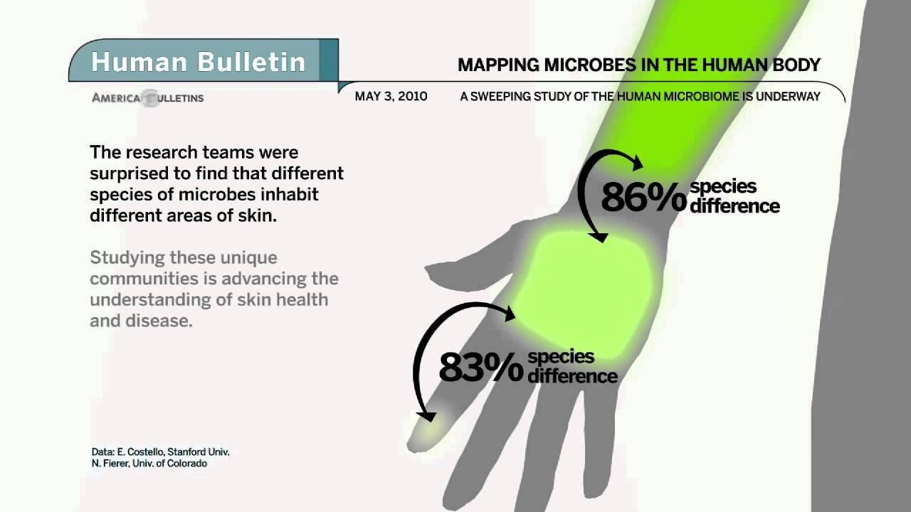 Science Bulletins: Mapping Microbes in the Human Body - YouTube
