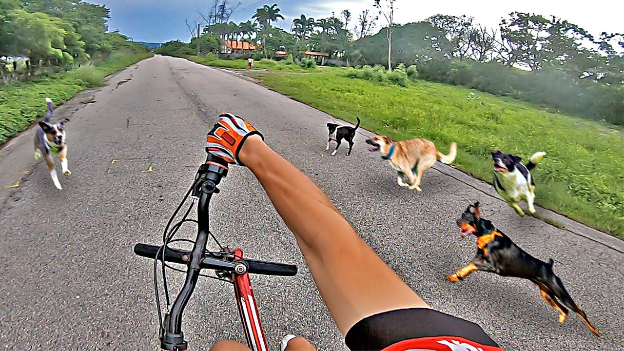 Passeio de Bike na Rua do Grau !! | Grau de Bike - YouTube