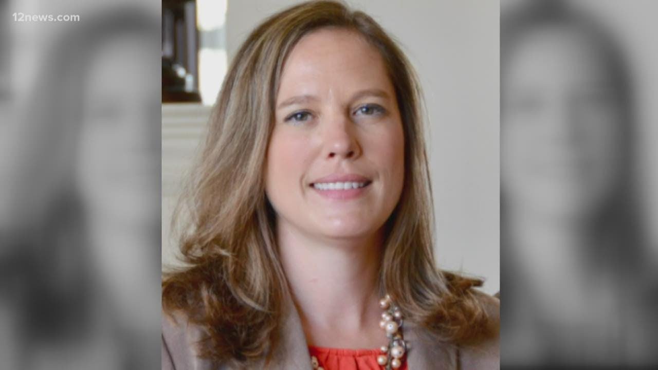 'It's a punch in the face to voters': Arizona lawmaker introduces bill ...
