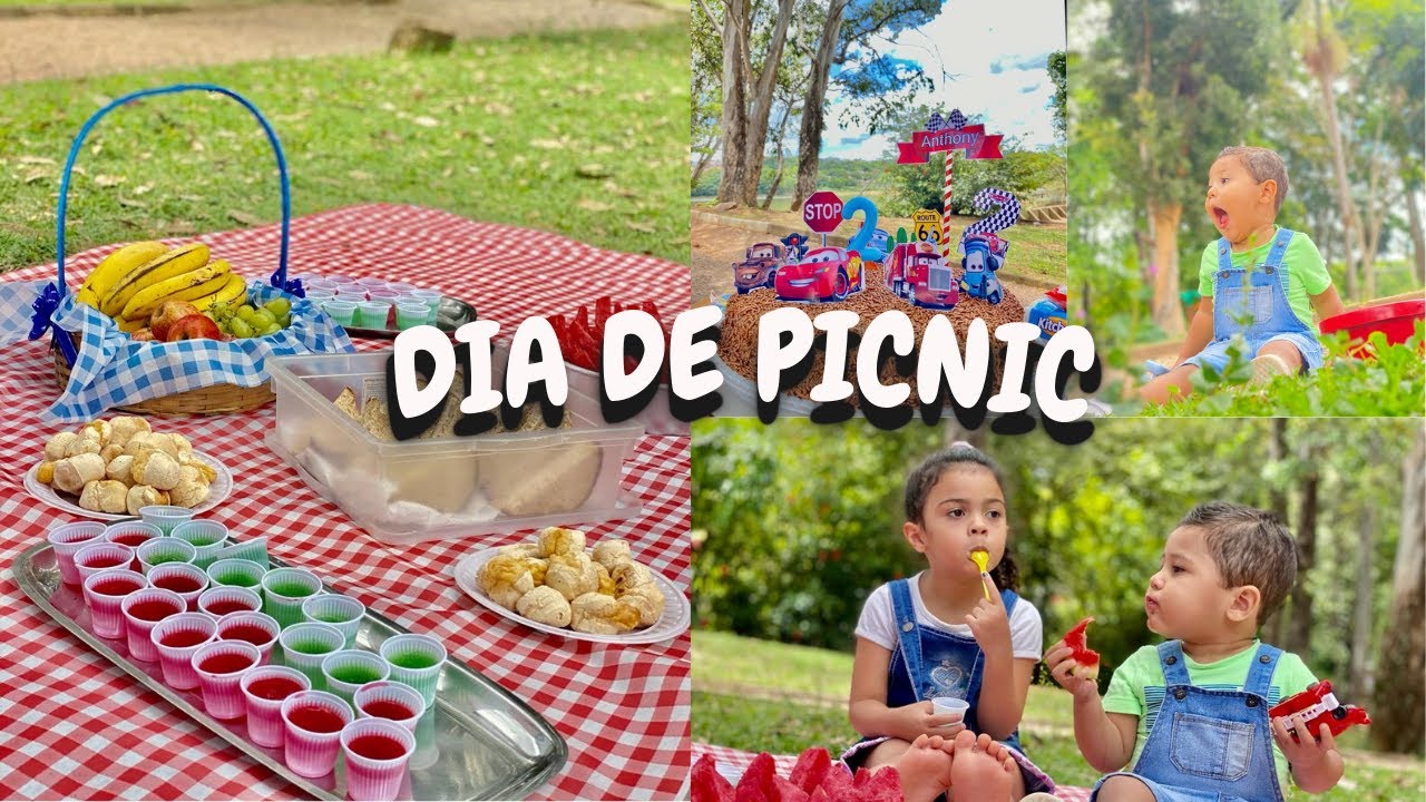 COMEMORAMOS O ANIVERSÁRIO DO ANTHONY COM UM PIQUENIQUE / Piquenique ...