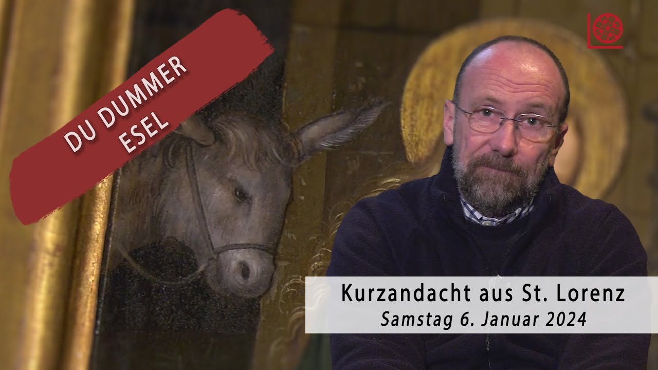 Du dummer Esel | Kurzandacht | 6. Januar 2024 - YouTube