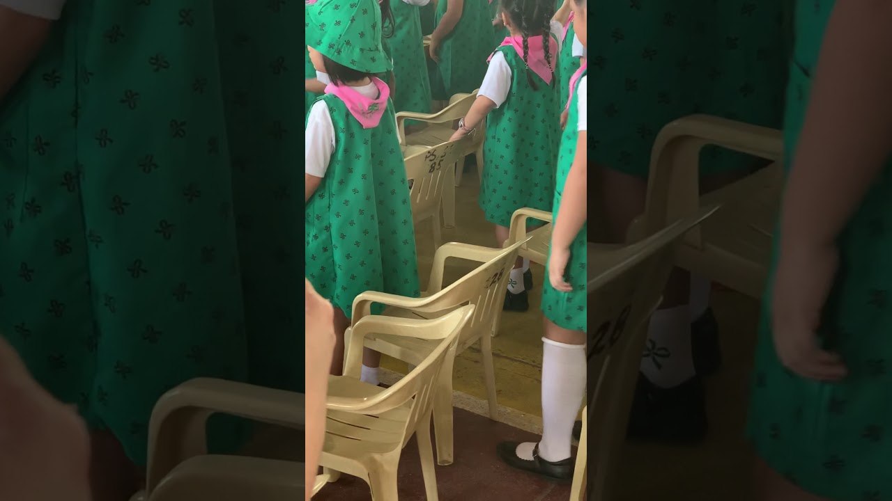 Twinkler Scout Investiture - YouTube