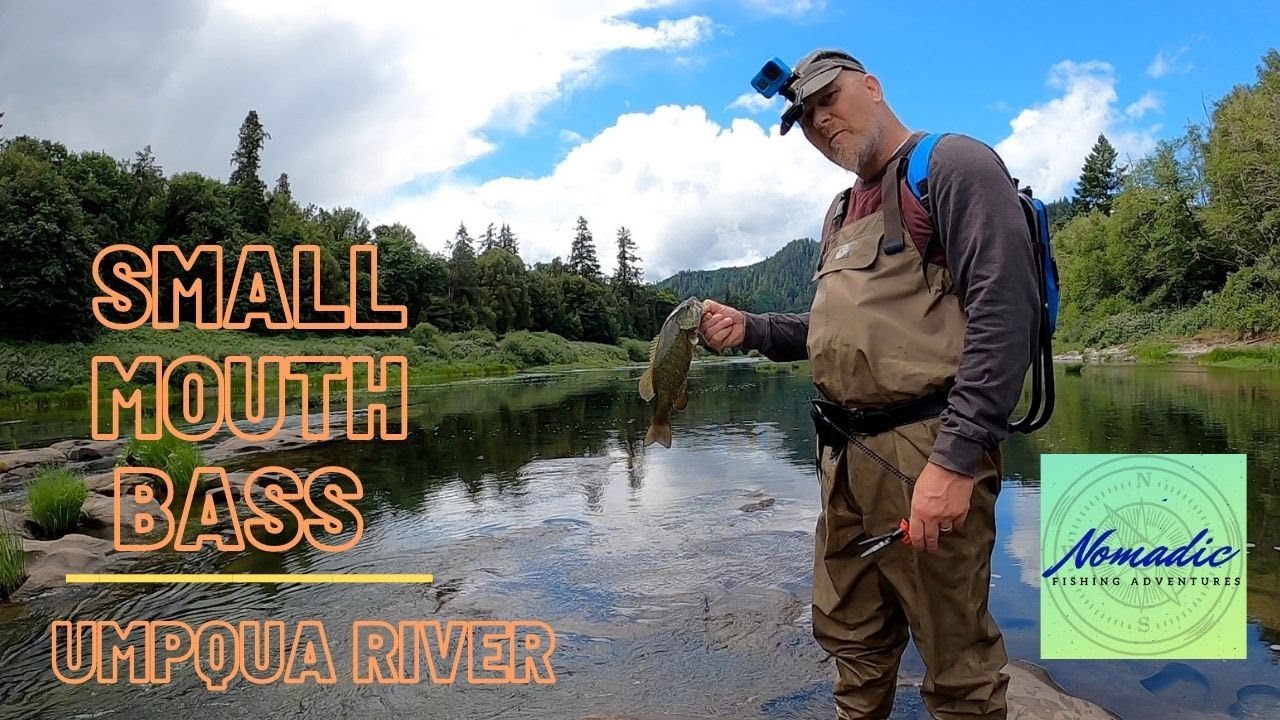 Smallmouth Bass Fishing | Umpqua River, Oregon - YouTube
