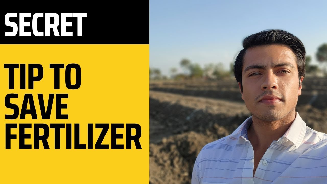 Secret trick to save fertilizer in Avocado farming | 6268643227 | Indo ...