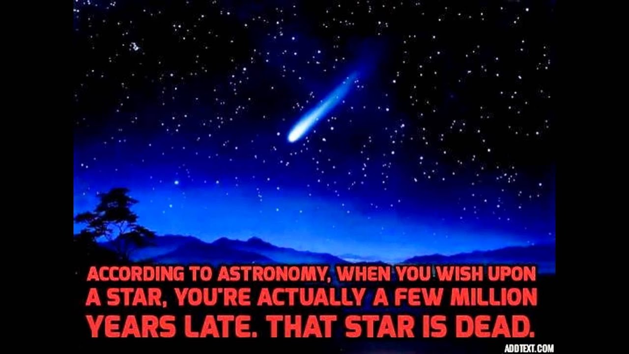 Useless Random Quotes