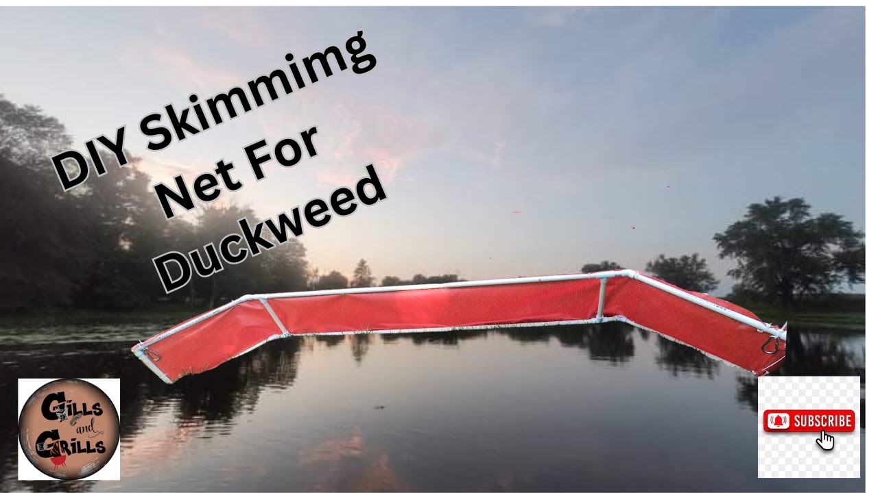 DIY Duckweed Removal: Crafting Your Own Skimmer Net - YouTube