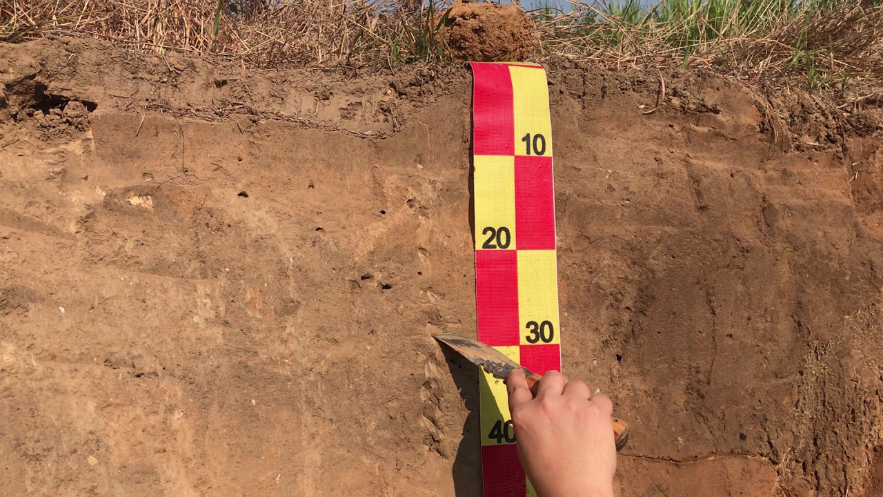 Ep02. lab 05_ soil profile and morphology - YouTube