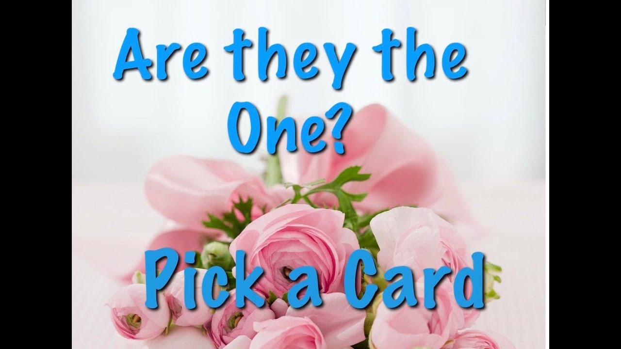 Are They The One?! Pick a Card! - YouTube