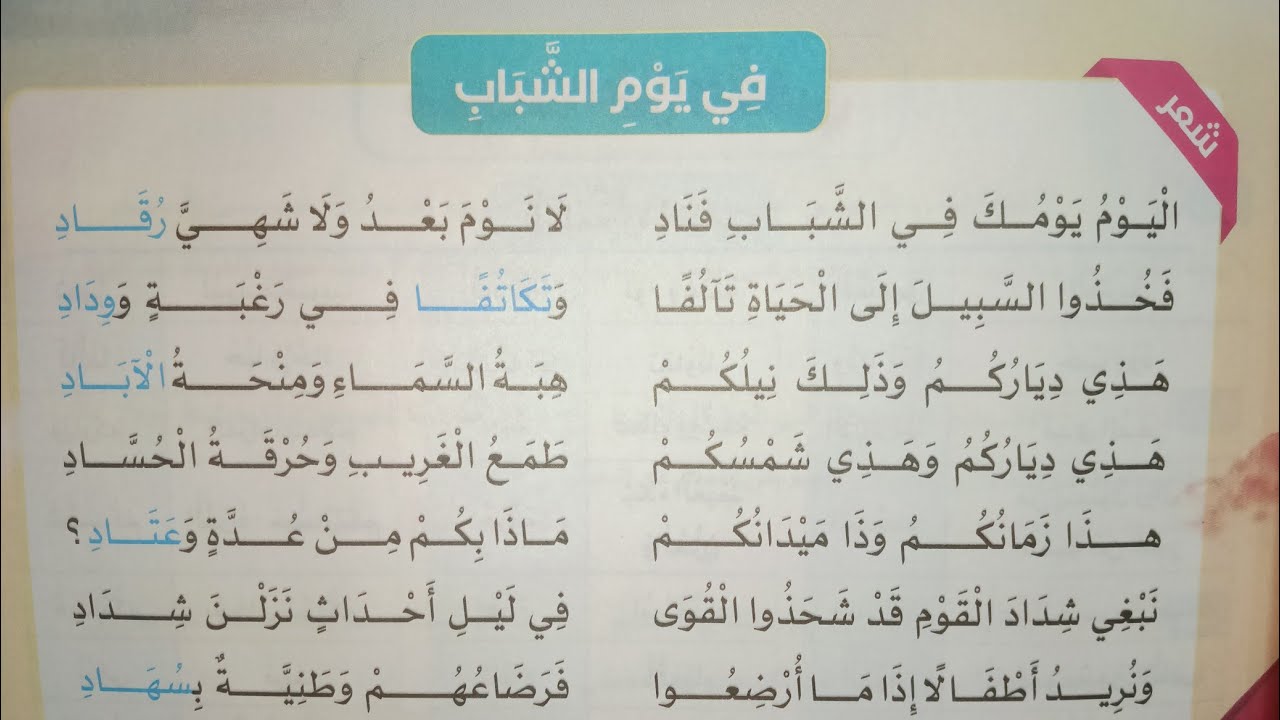 شرح وحل تدريبات نص في يوم الشباب للصف السادس الابتدائي الترم الأول
