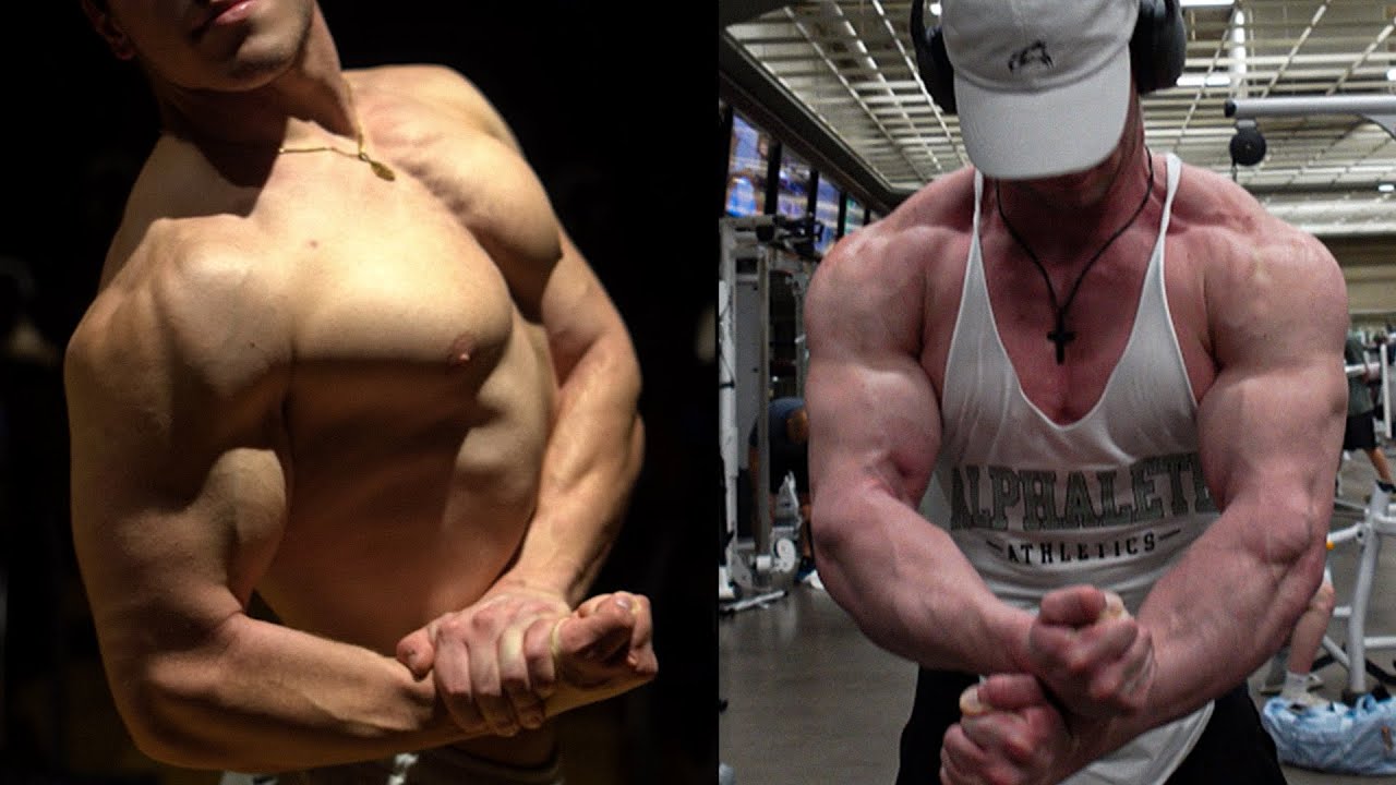 Chest & Back W/ Jake Collins - YouTube