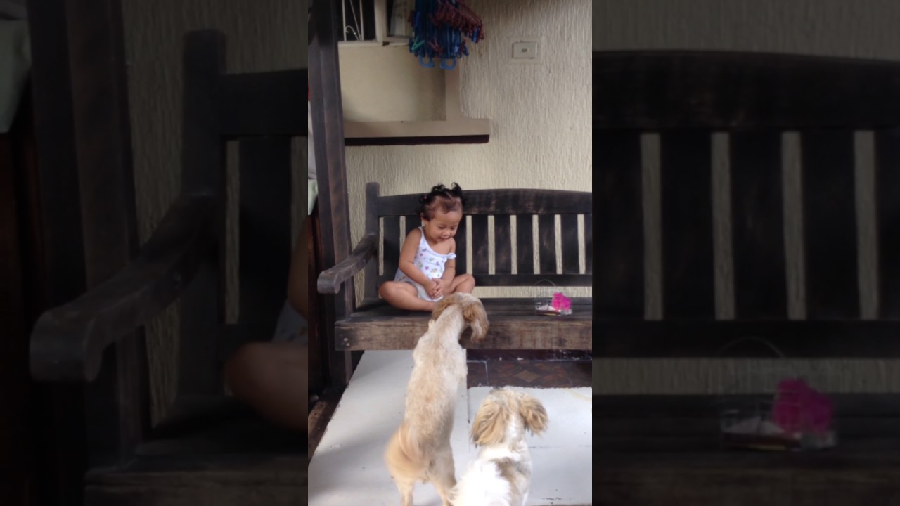 Chanini playing with the doggies - YouTube