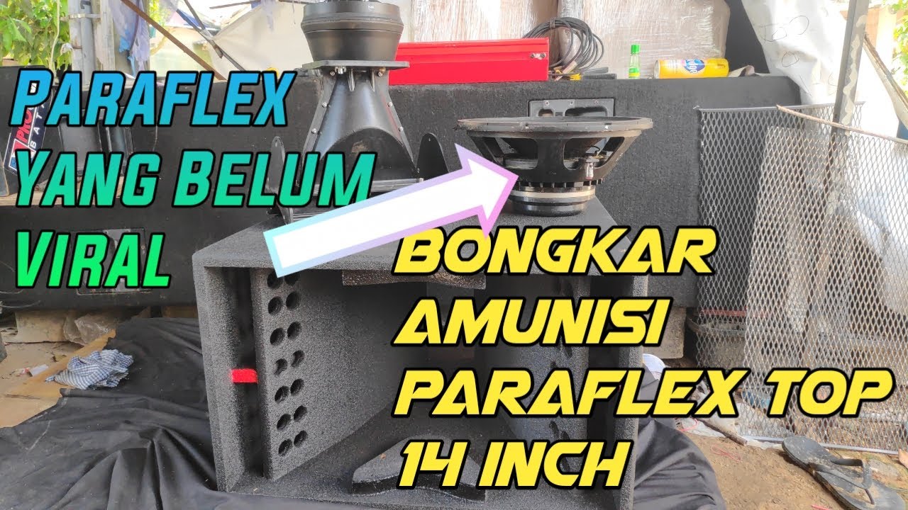 Review Paraflex Top 14 inch & Horn Twiter - YouTube