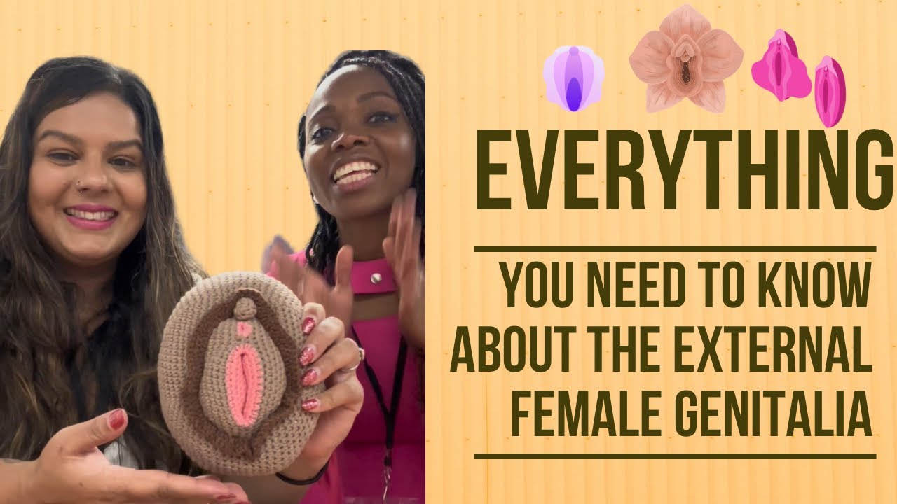 Do you know your external gynae anatomy/female genitalia - YouTube