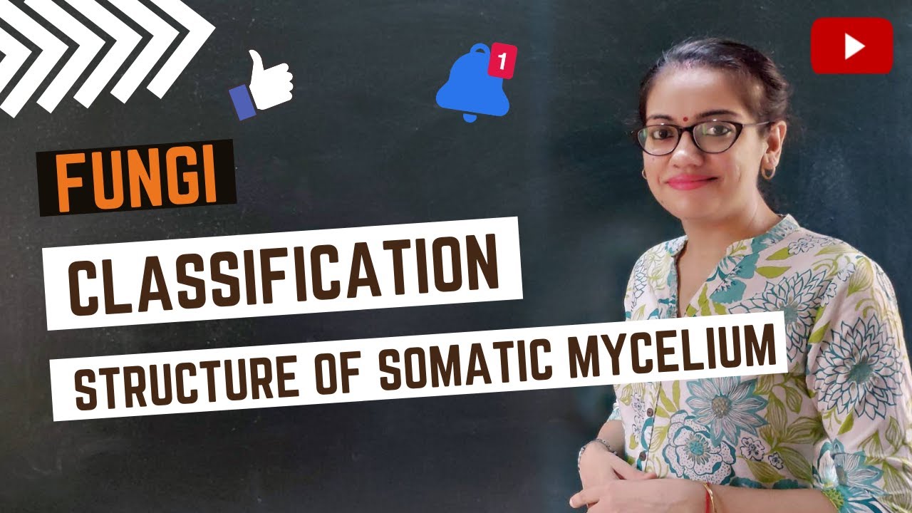 LECTURE 47:BIOLOGY XI-BIOLOGICAL CLASSIFICATION-FUNGI CLASSIFICATION ...