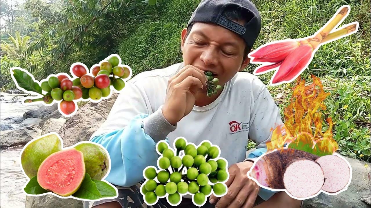 hunting wild food in the nature‼️eating guava, turkey berry, roasted ...