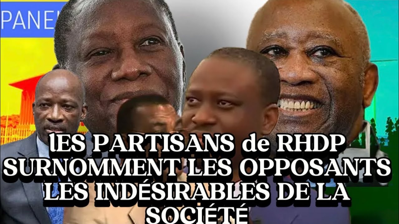 ELEPHANT DU CIEL UN PARTISANT DE RHDP SURNOME LES OPPOSANT LES ...