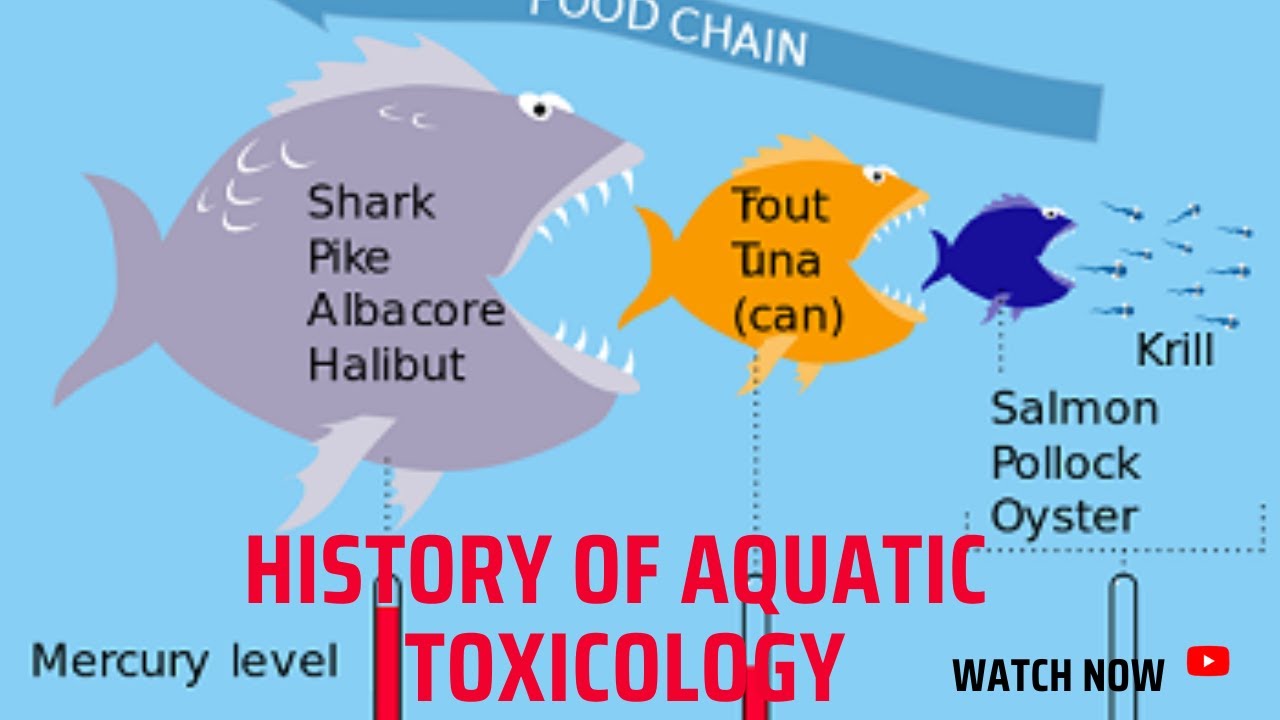 History of Aquatic Toxicology - YouTube