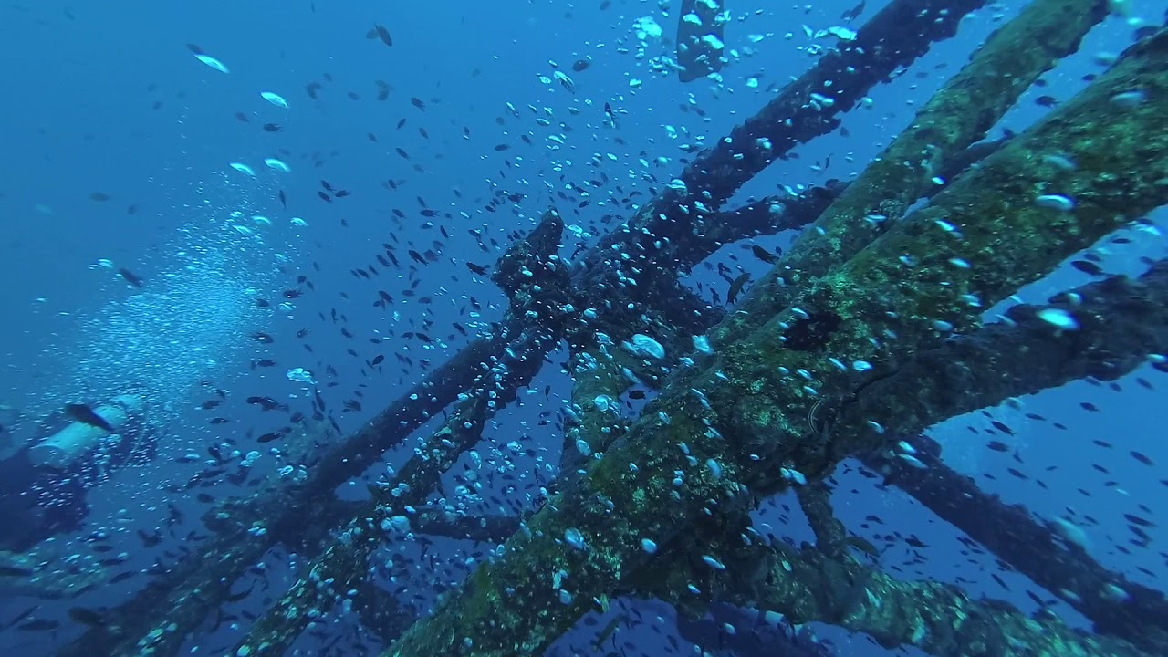 Wreck diving near Koh Chang, Thailand - YouTube