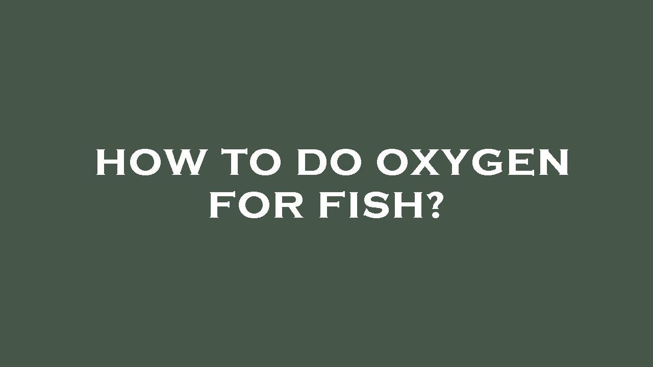 How to do oxygen for fish? - YouTube