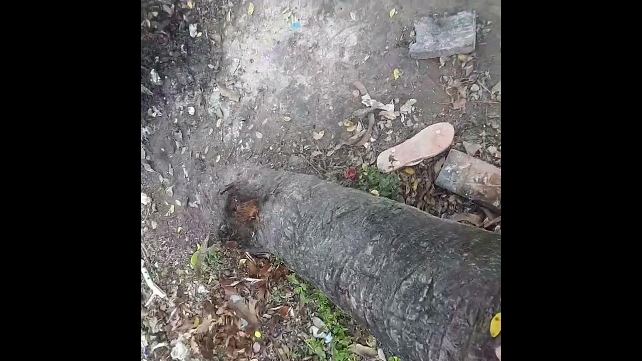 1 de abril de 2025 - YouTube