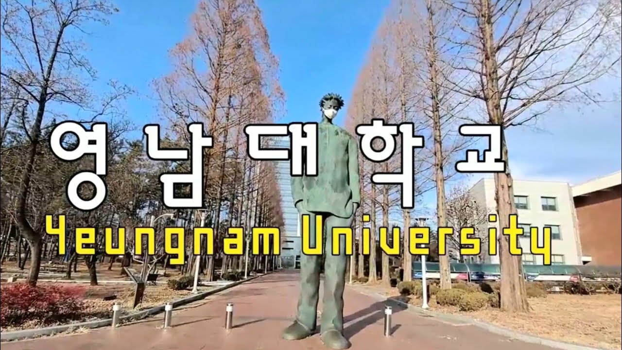 🏃영남대학교 캠퍼스 랜선여행 / Walk together on the Yeungnam University campus in ...