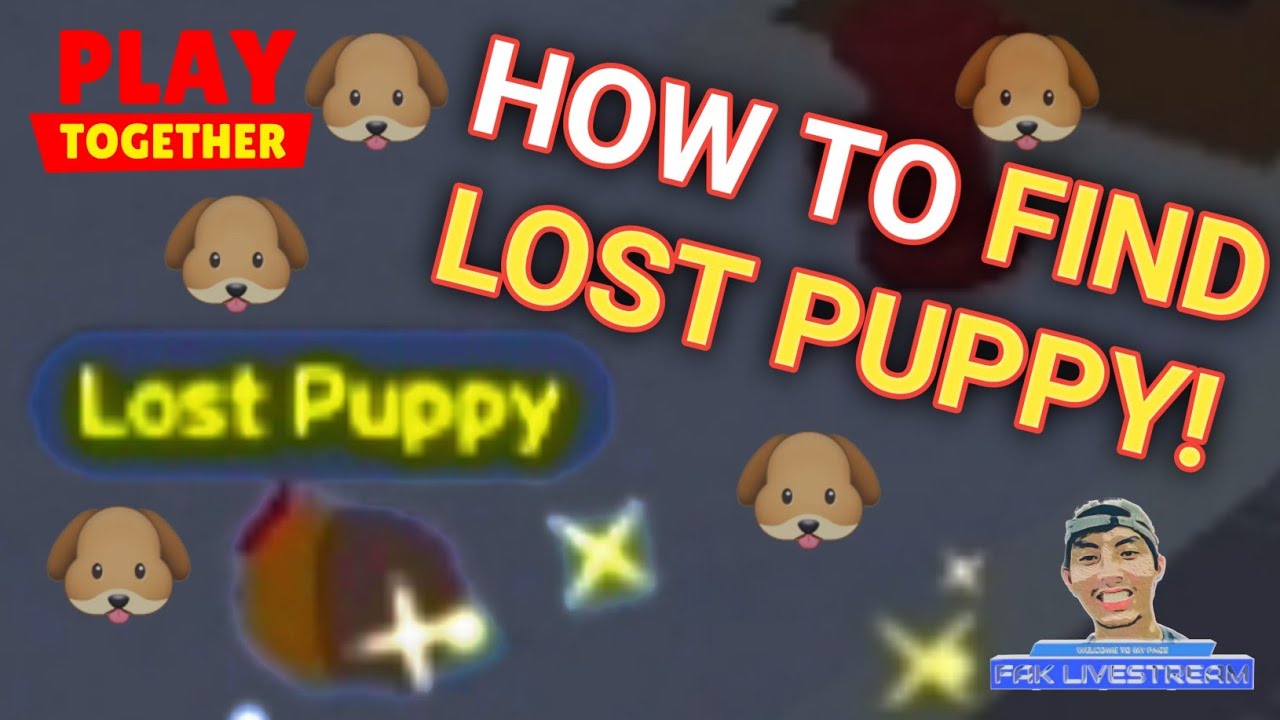 PLAY TOGETHER | How To Find Lost Puppy In Play Together! - YouTube