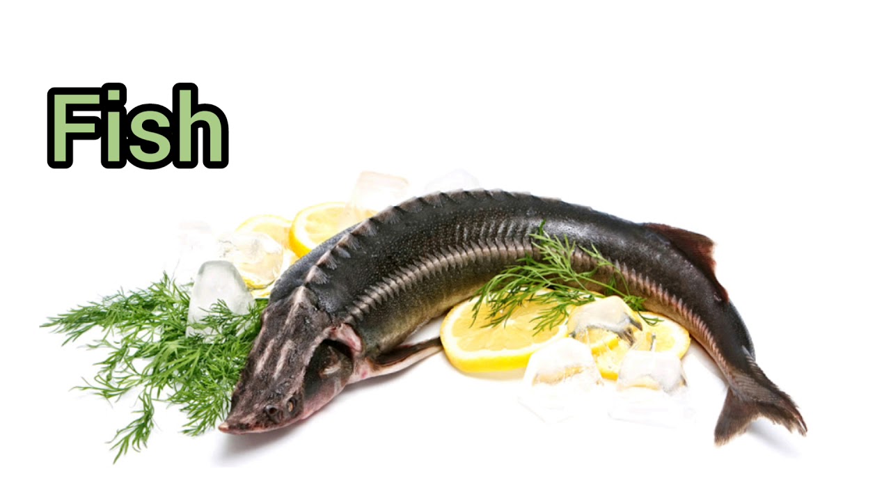 How To Pronounce Fish In English YouTube how-to-pronounce-fish-in-english-youtube