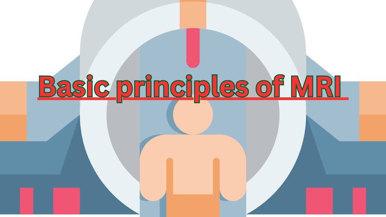 Basic Principles Of MRI MRI Basic Principles Radiology Notes YouTube Basic Principles Of MRI MRI Basic Principles Radiology Notes YouTube