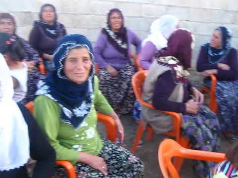 #suvarlıda#inçe#uçta#düğün#başlar#hele#gelele#abov#abov#