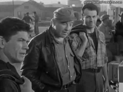 The Mob (1951) Clip - YouTube