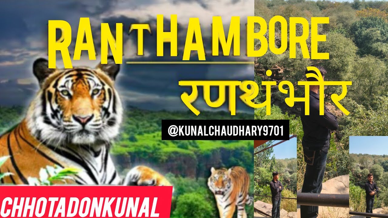 Ranthambore ka jungle tiger and Mahal hamir Dev Raja ka kila😮🐅 full # ...