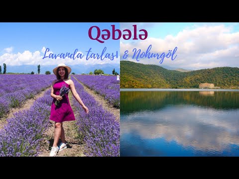 Turistik Qəbələ - Lavanda tarlası & Nohurgöl