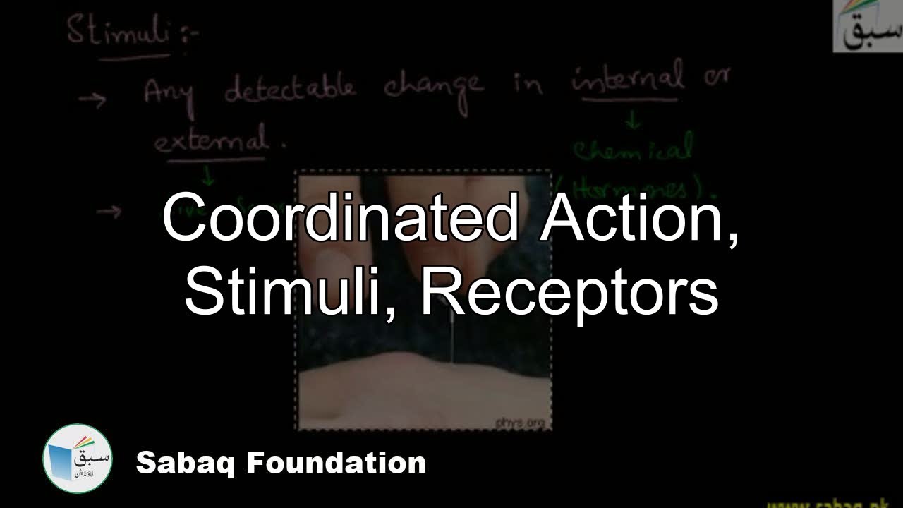 Coordinated Action, Stimuli, Response, Biology Lecture | Sabaq.pk - YouTube