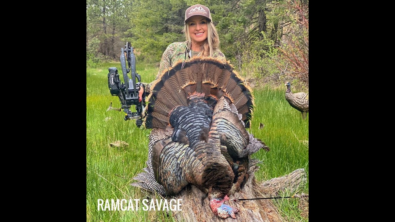 Ramcat Savage Mechanical Broadhead - YouTube
