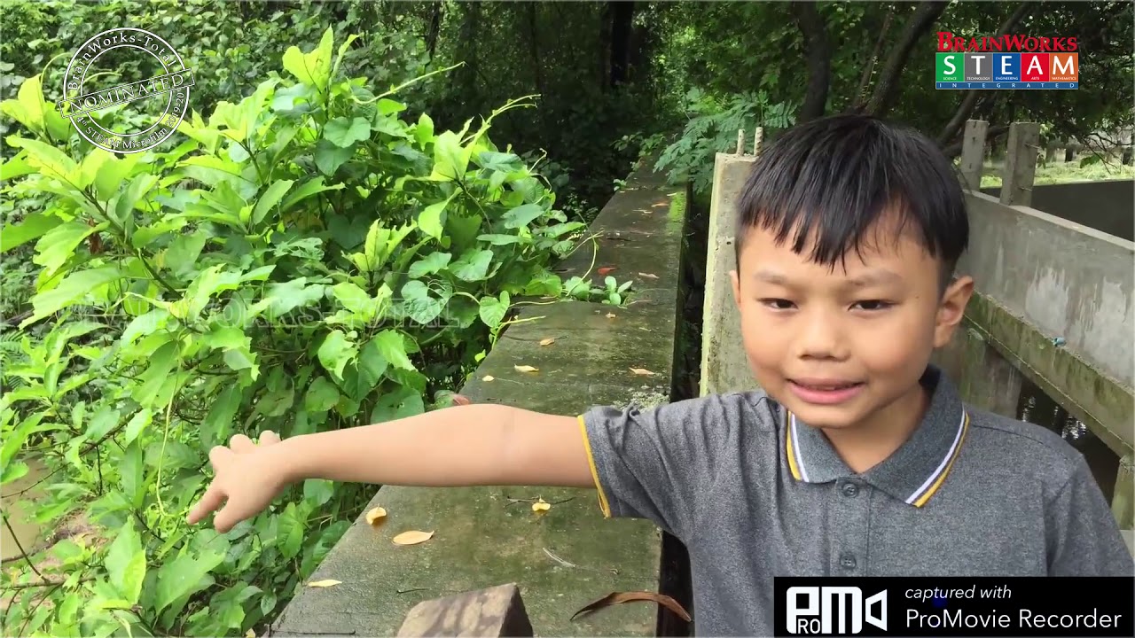 J1936- Hein Pyae Sone Kyaw-Thaketa #SaveOurSpecies #JUNIORS #NOMINATED 2019 - YouTube