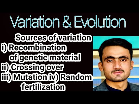 Variation and evolution ,Variation and evolution class 10 - YouTube