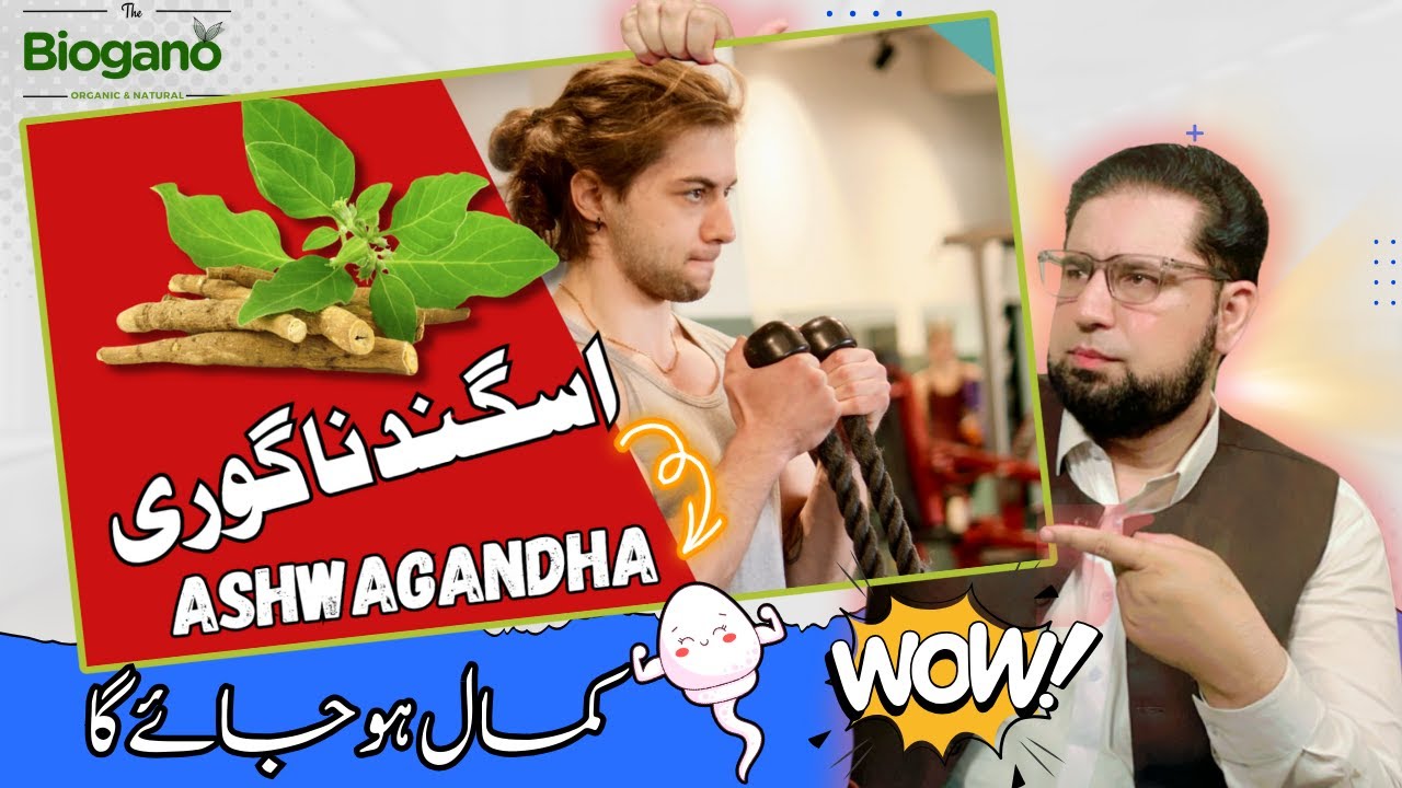 Ashwagandha | Asgandh Nagori Health benefits, side effects, and how to ...